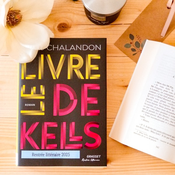 Le livre de Kells -Sorj Chalandon : sauver sa peau - Livres à lire ♥ ...