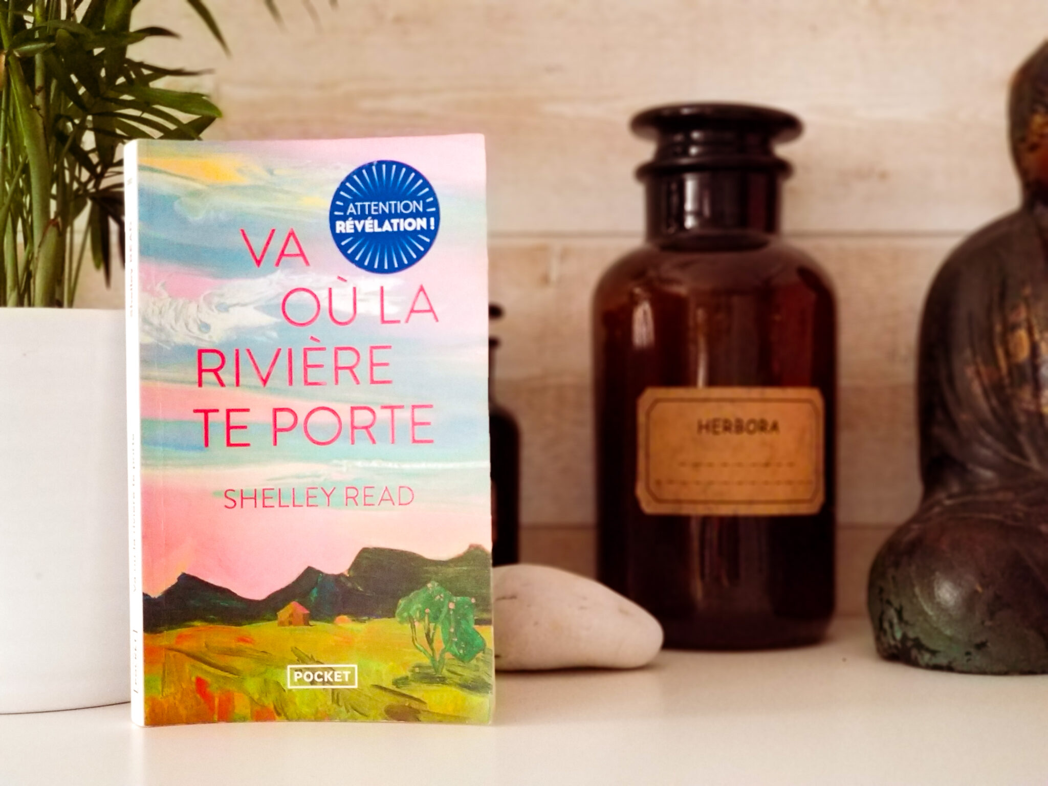 Va où la rivière te porte - Shelley Read : renaître à sa nature ...
